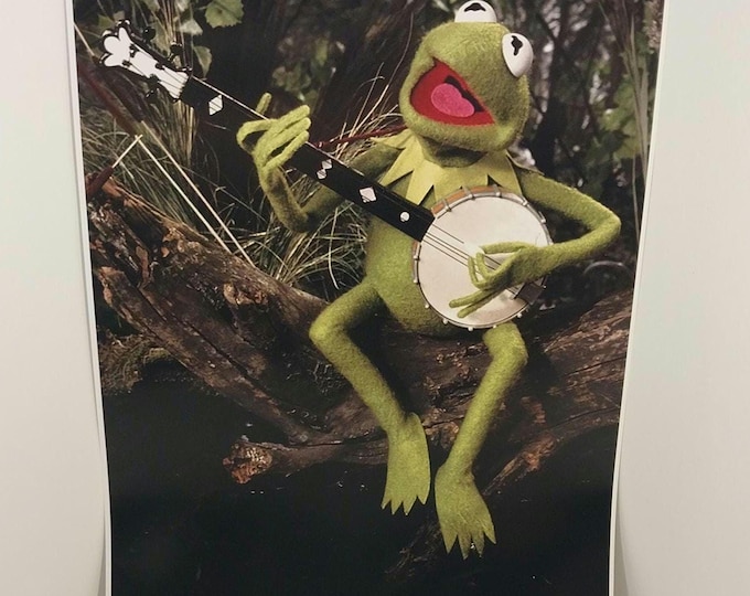 Vintage Kermit the Frog 1976 Fisher Price 850 Jim Henson Muppets Doll ...