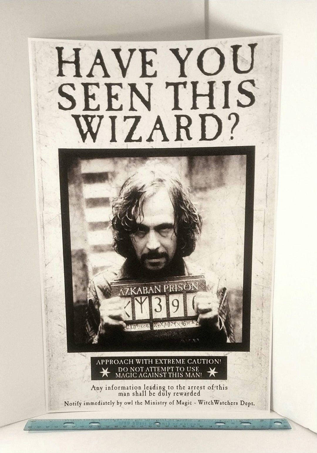 Sirius Black From Harry Potter Poster 11x17 Inch Print Perfect for ...