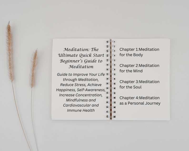 The Ultimate Beginners Quick Start Guide to Meditation | Mind Fullness ...