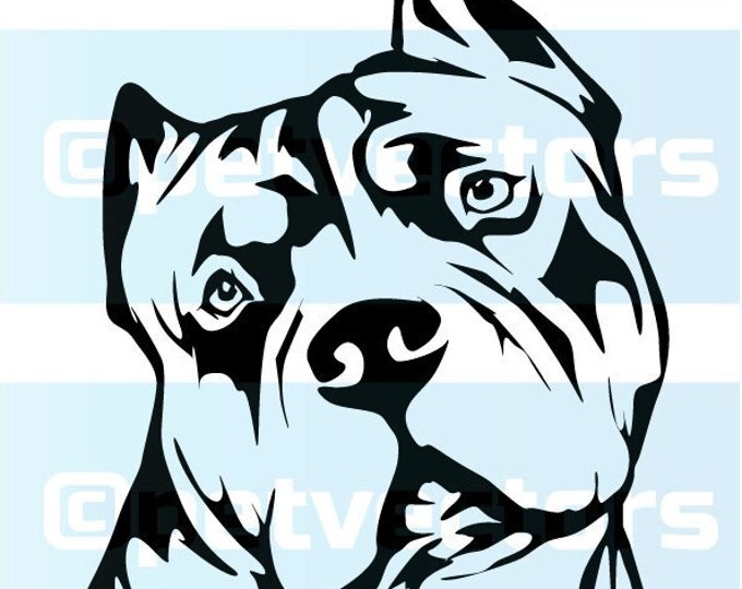 Cute American Bully Svg, Dog Svg, Cricut, Funny Face, Head Pet Breed ...