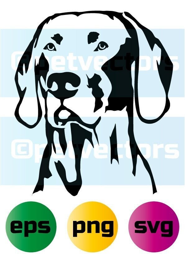 Weimaraner Eps Svg Png Vector Cutting File - Etsy