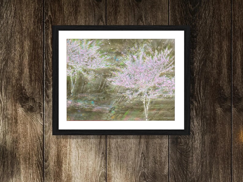 Eastern Redbud Tree-iridescent Art Light Filled Artwork Inspired Print ...