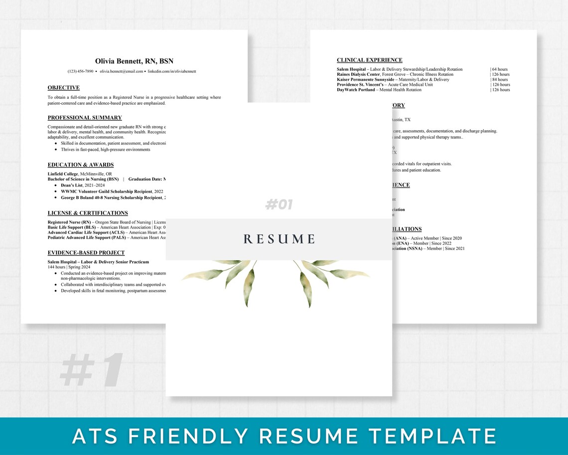 Nurse Portfolio Template, Professional Nursing Portfolio for RN, Rn ...