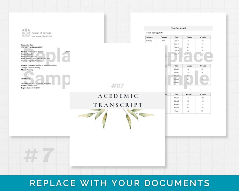 Nurse Portfolio Template, Professional Nursing Portfolio for RN, Rn ...