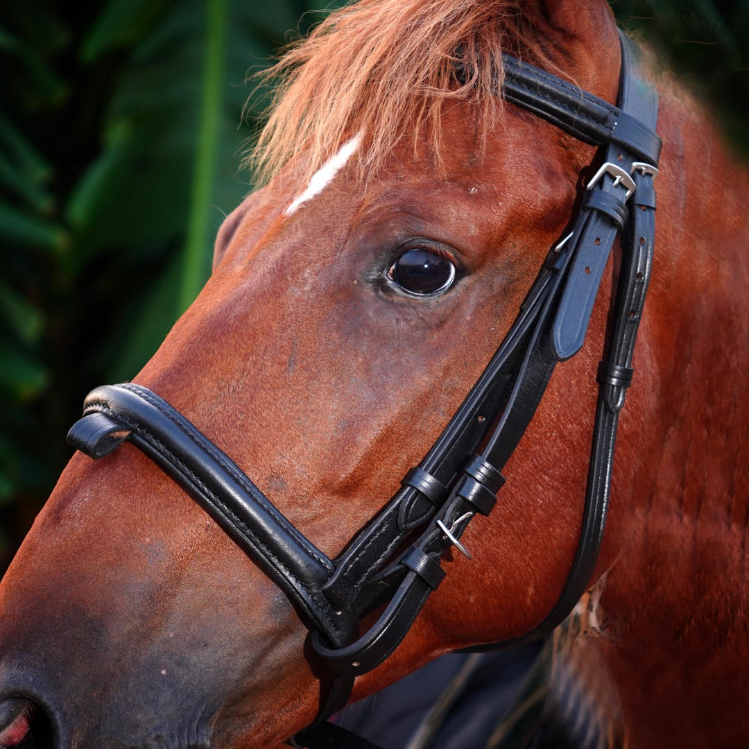 Handmade Leather Horse Bridle , Custom Horse Bridle, an Adjustable ...