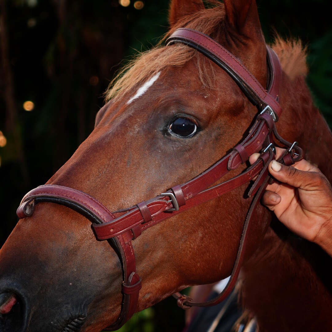 Handmade Leather Horse Bridle , Custom Horse Bridle, an Adjustable ...