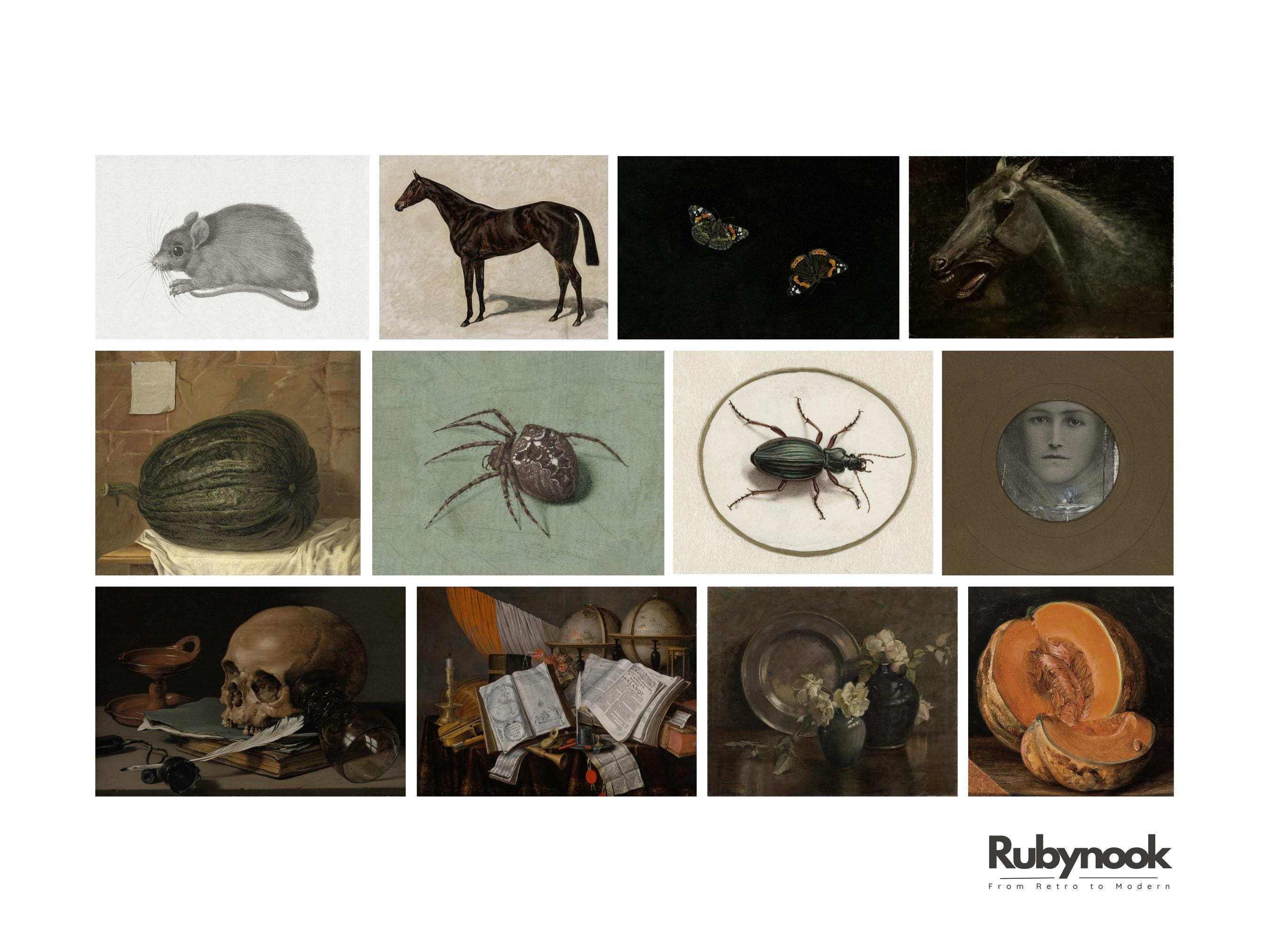 Vintage Halloween Wall Art Bundle 100 Prints Set Dark Academia Decor ...