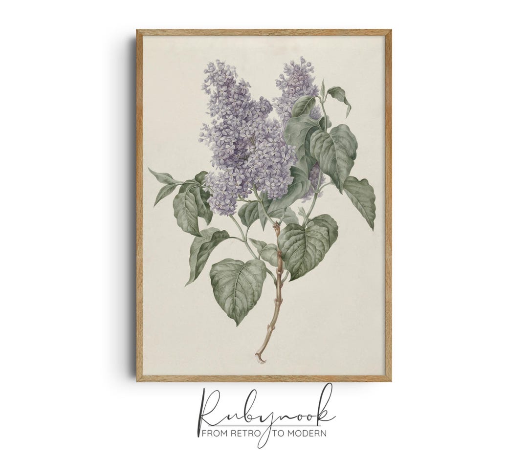 Vintage Lilac Botanical Print for Kitchen Decor Printable Flower Wall ...