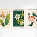 Botanical Flower Market Color Block Digital Prints Mid - Etsy