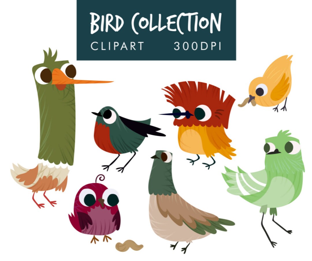 Watercolor Birds Clipart, Spring Birds Clipart, Birds Bundle, Colorful ...
