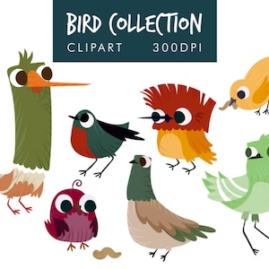 Watercolor Birds Clipart, Spring Birds Clipart, Birds Bundle, Colorful ...