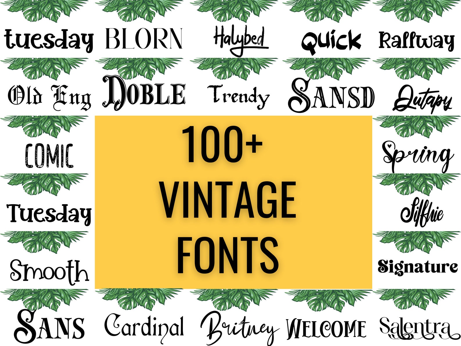 5000 Fonts Bundle, Handwritten Fonts, Calligraphy Fancy Font, Serif ...