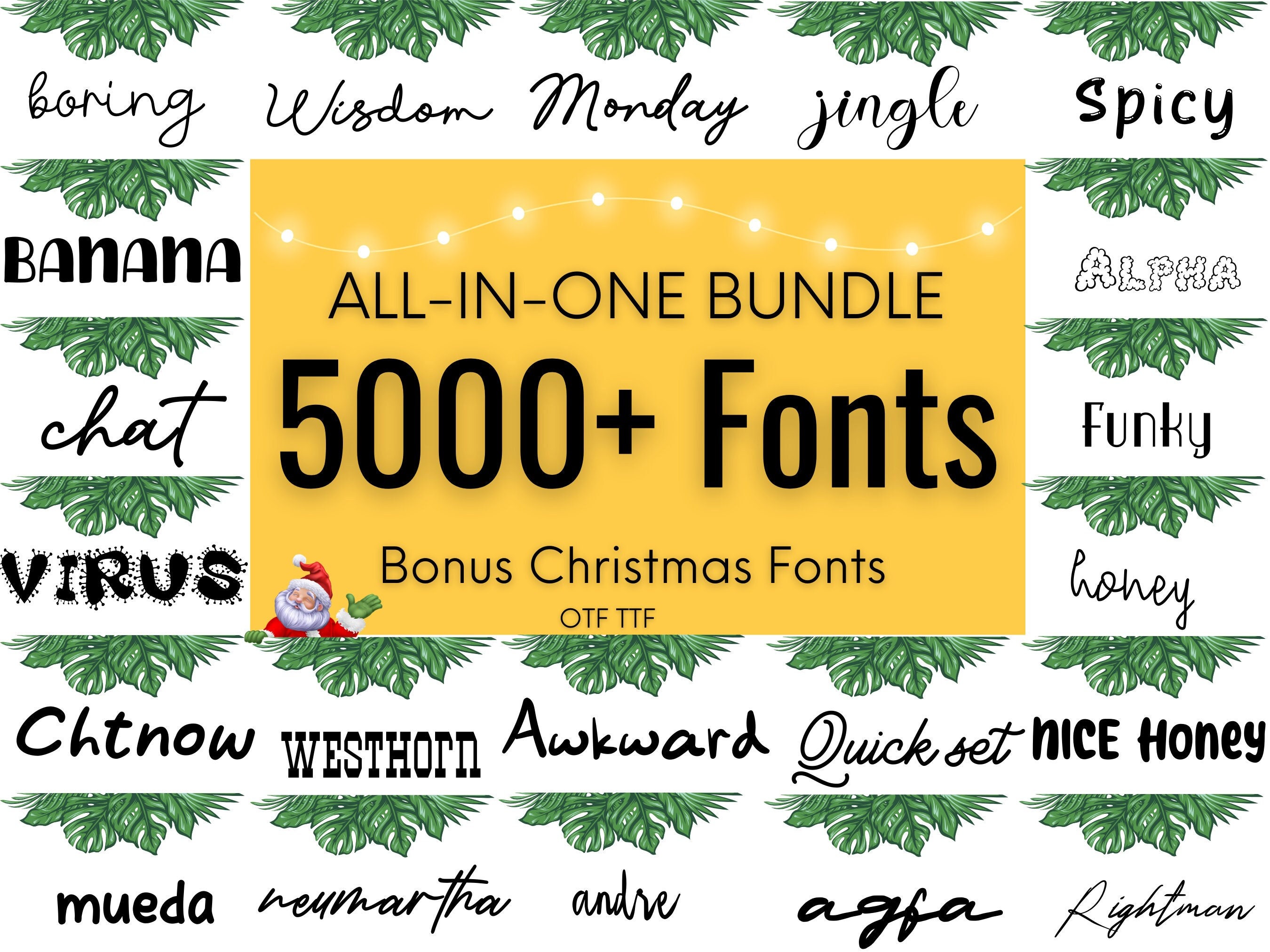 5000 Fonts Bundle, Handwritten Fonts, Calligraphy Fancy Font, Serif ...
