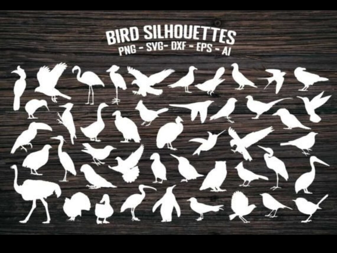 Bird SVG, Bird Svg Bundle, Flying Bird Svg, Animal Svg, Bird Clip Art ...