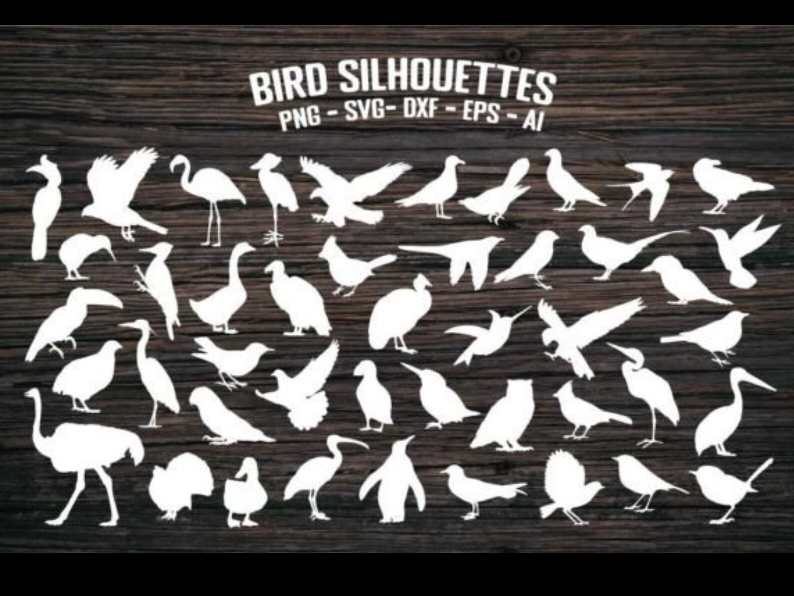 Bird SVG, Bird Svg Bundle, Flying Bird Svg, Animal Svg, Bird Clip Art ...