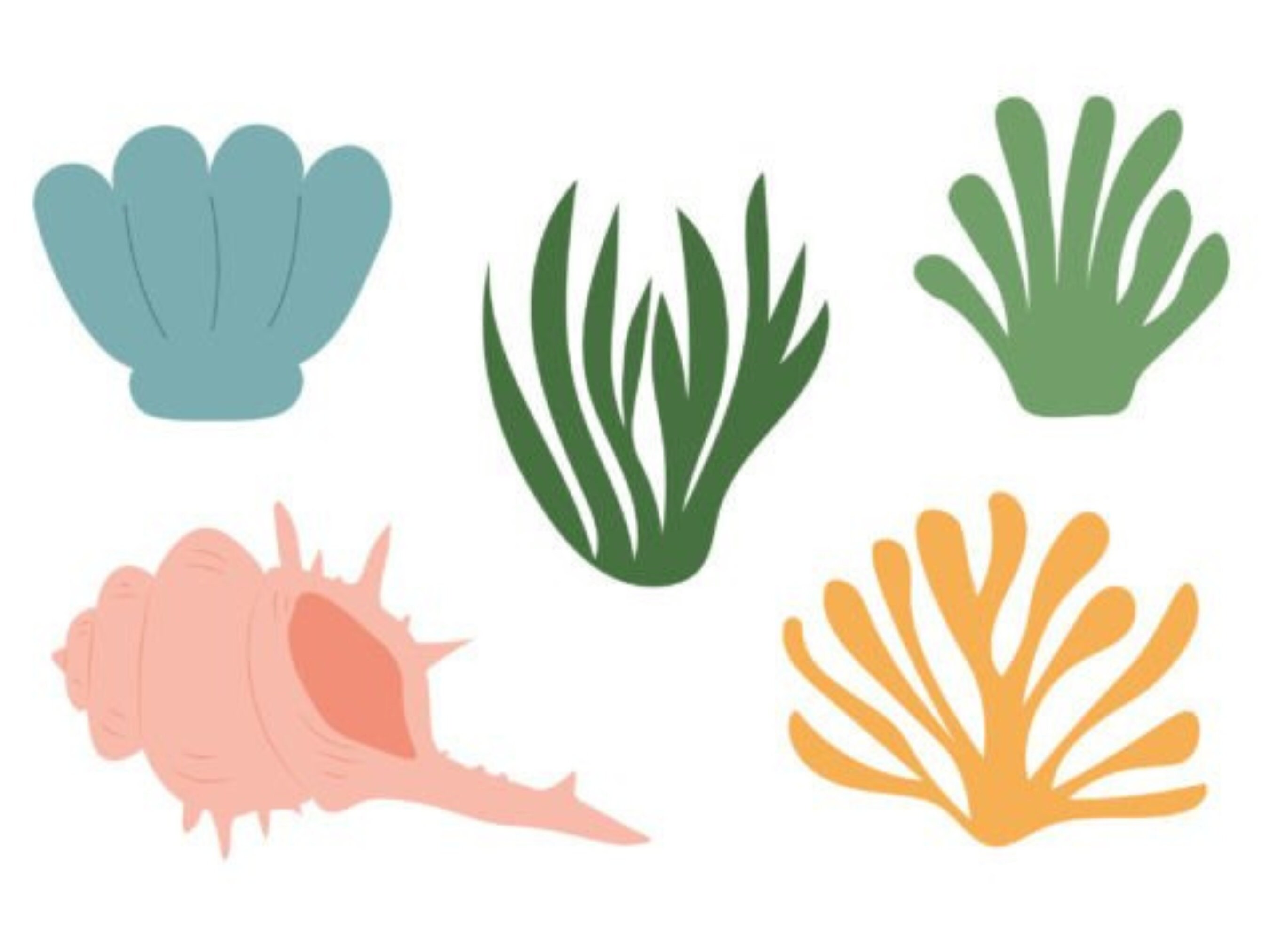 Cute Sea Animals SVG, Ocean Sea Animals PNG Clipart, Starfish, Whale ...