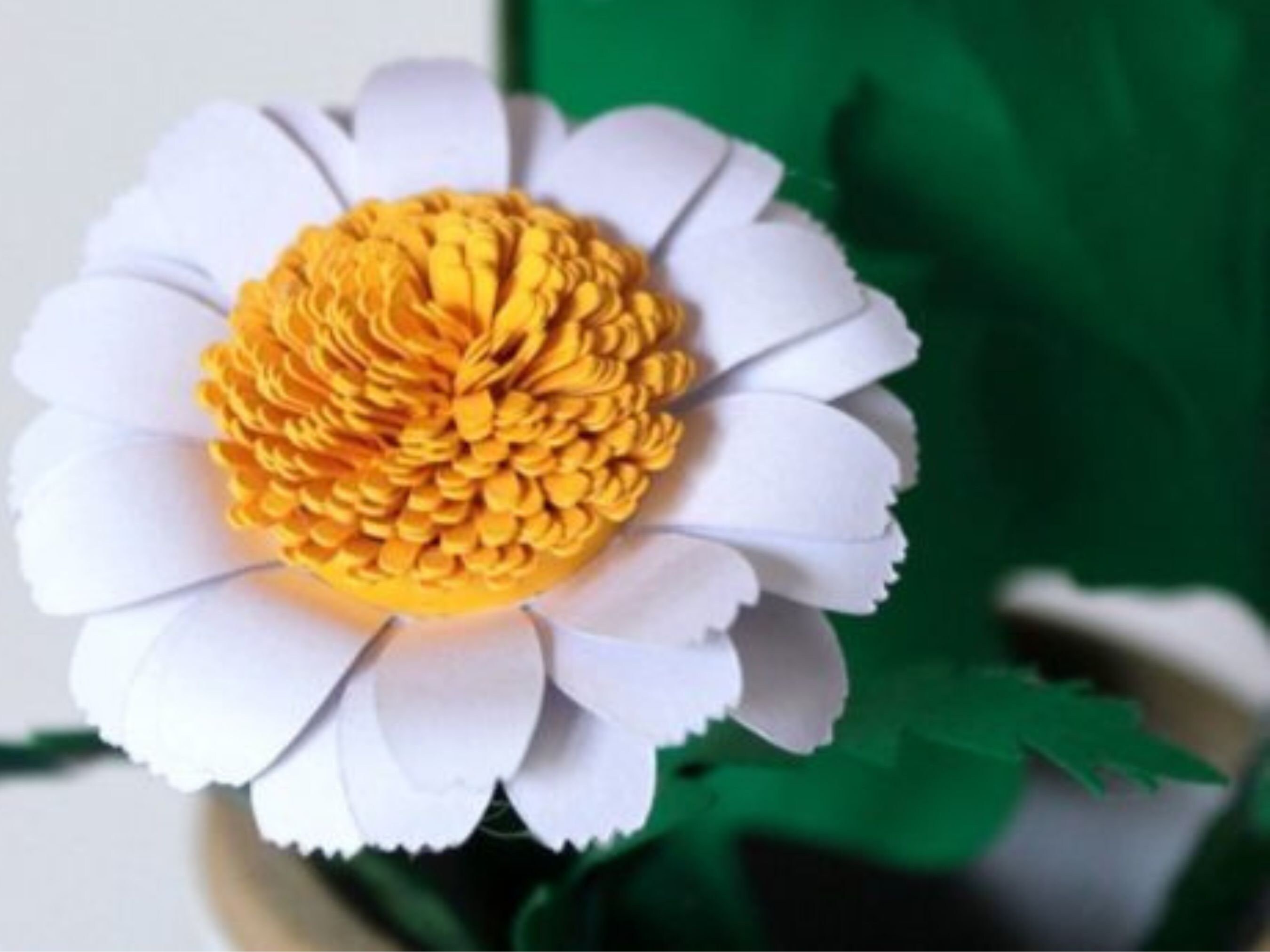 3D Daisy SVG Bundle Paper Flower Templates Gerbera, Creeping, and ...