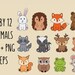 Cute Animal Svg Bundle Woodland Animals Svg Animal Svg Jungle Animals ...
