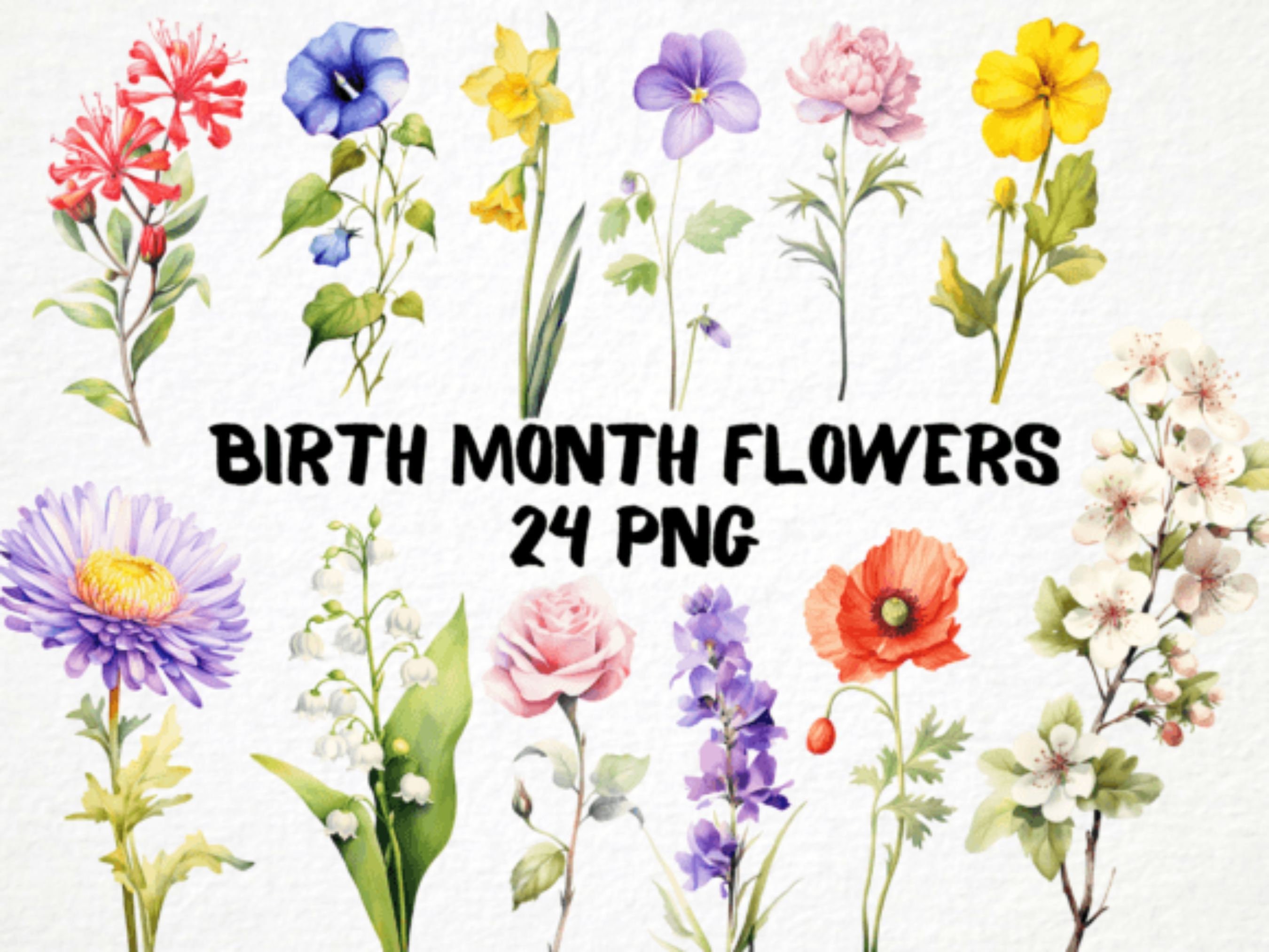 Watercolor Birth Month Flower Clipart, Birth Month Flower Art ...