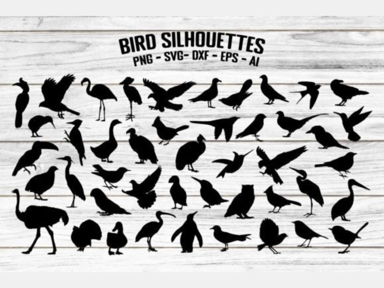 Bird SVG, Bird Svg Bundle, Flying Bird Svg, Animal Svg, Bird Clip Art ...