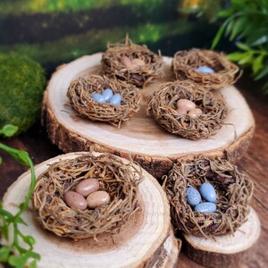 Miniature Bird Nest, Dollhouse Bird Nest, Mini Nest - Etsy