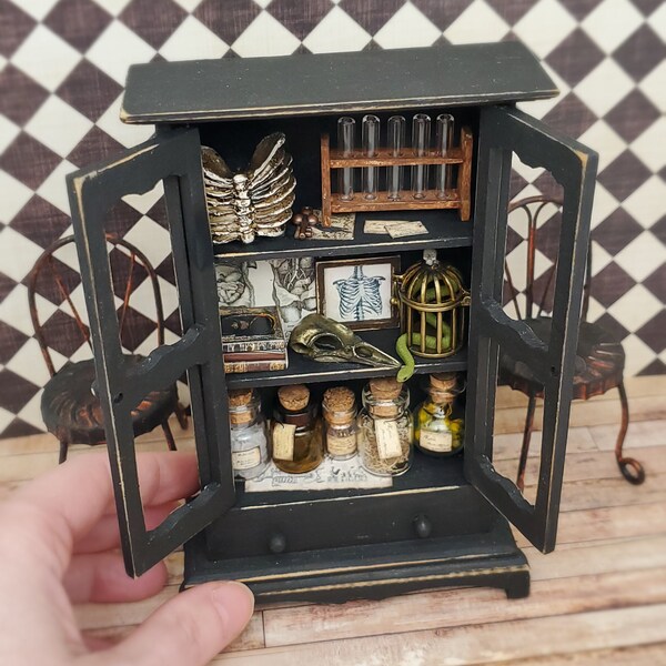 Dollhouse Cabinet Etsy