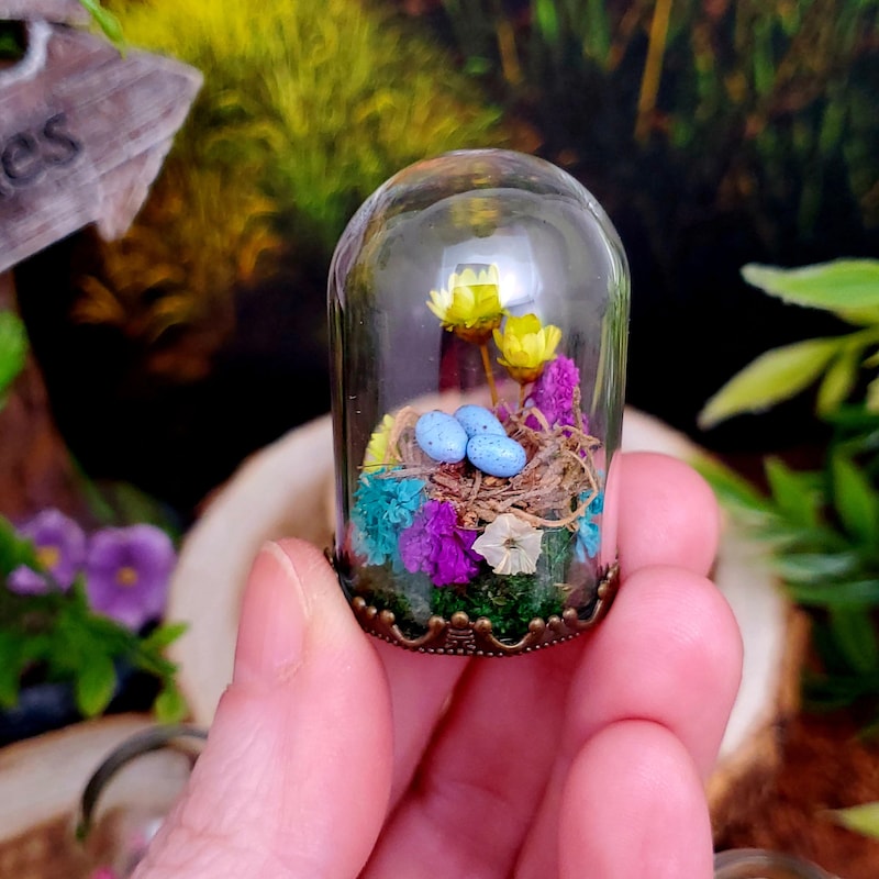 Mini Cloche - Etsy