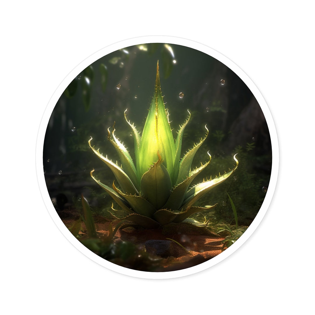 Aloe Vera Sticker Plant Sticker Laptop Sticker Water Bottle - Etsy