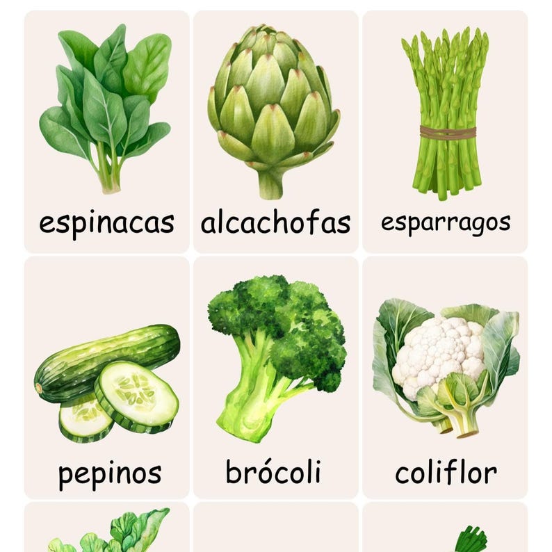 Fruit and Vegetables Flashcards in Watercolor | Educational Printable ...