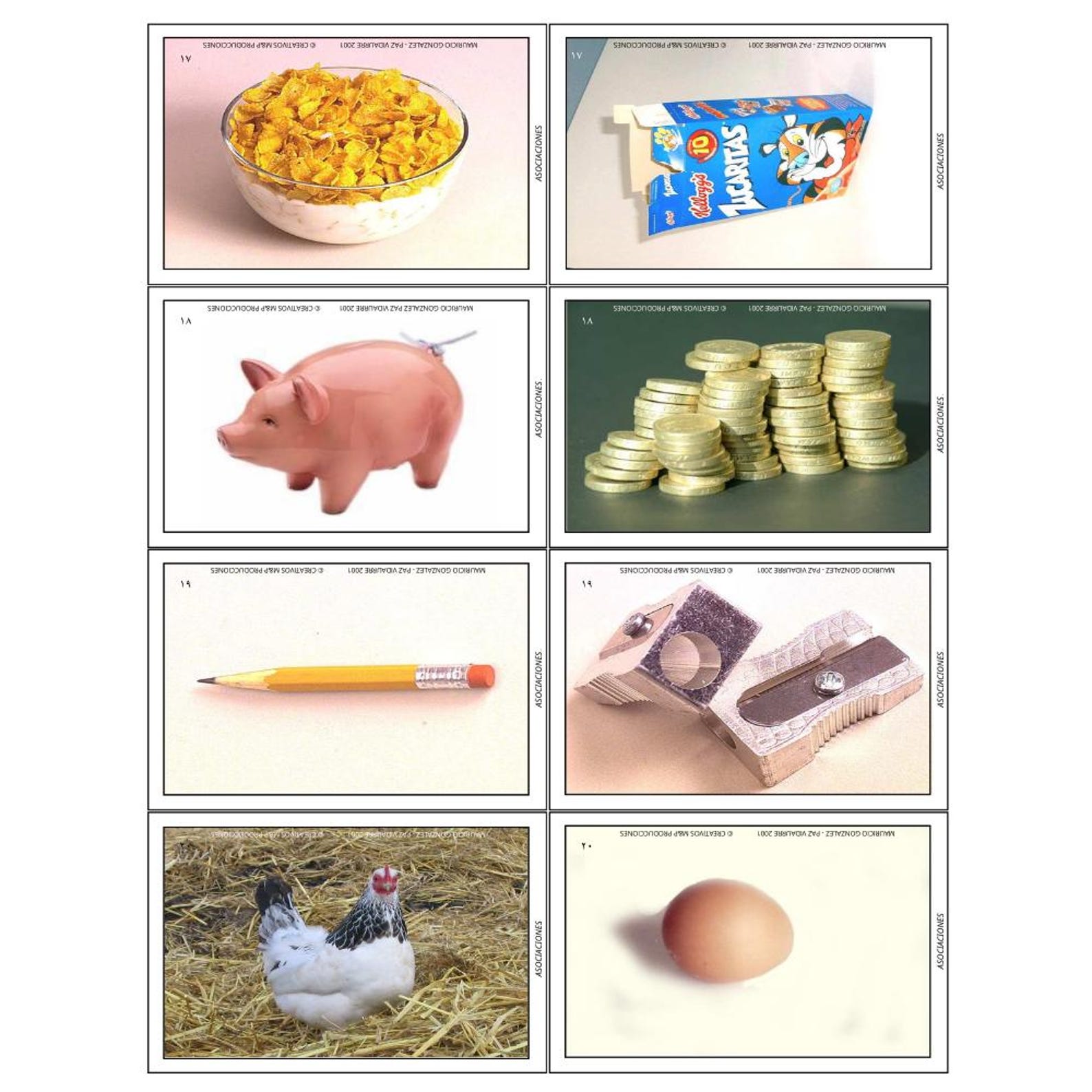Association Flashcards With Real Photos | Printable Language ...
