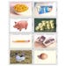 Association Flashcards With Real Photos | Printable Language ...