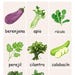 Fruit and Vegetables Flashcards in Watercolor | Educational Printable ...