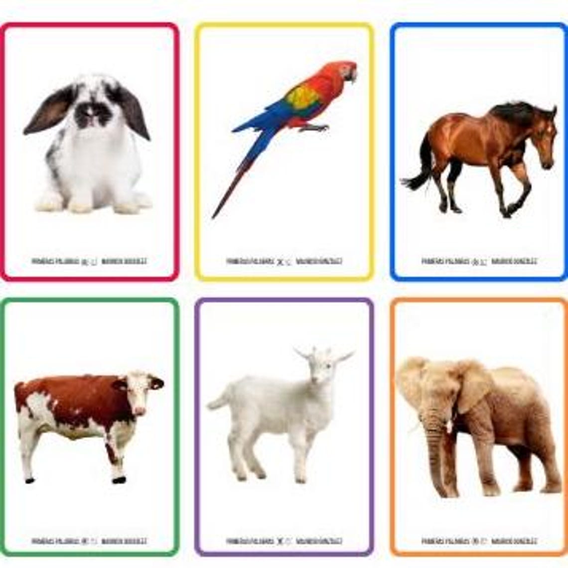 First Words Flashcards for Babies & Toddlers | Printable Language ...