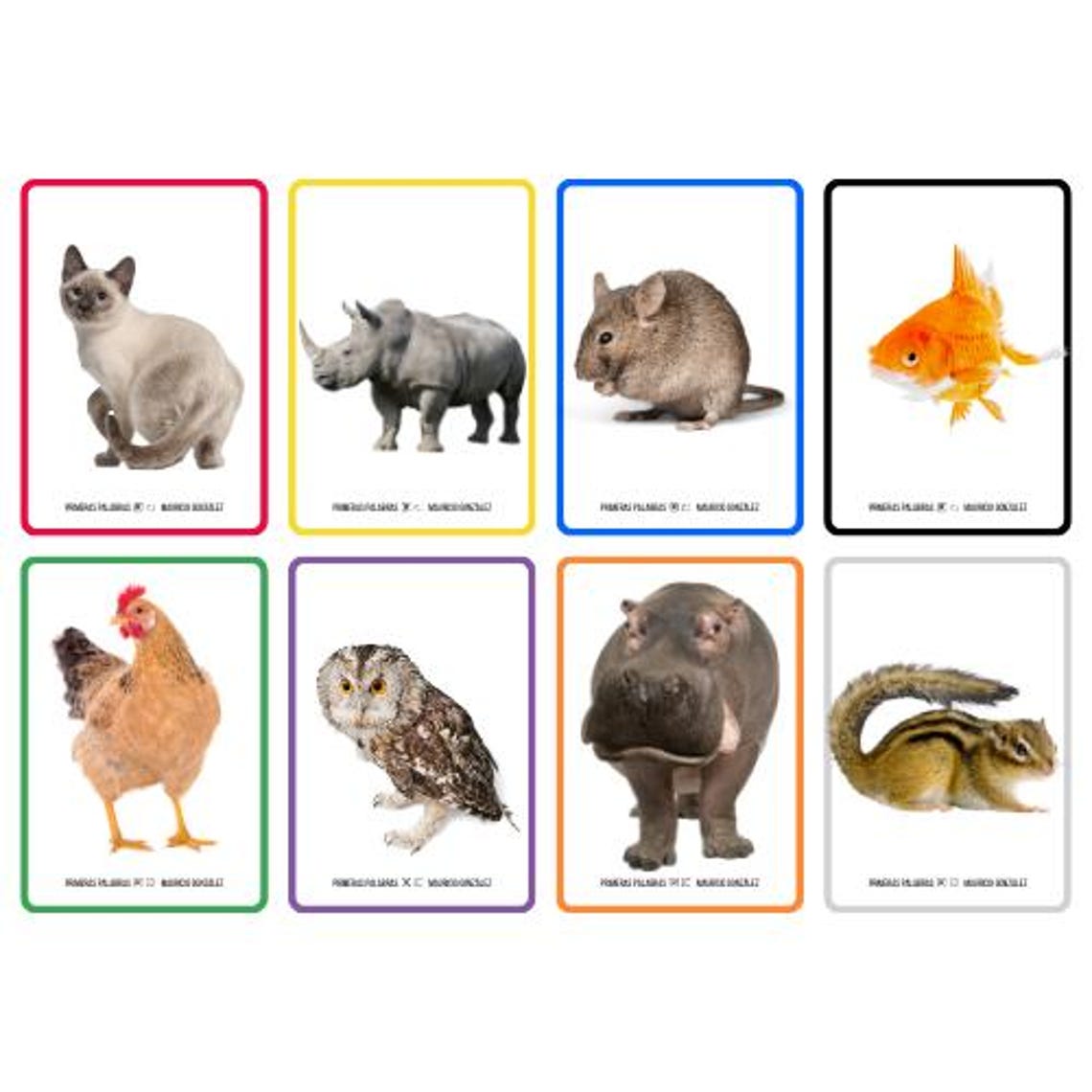 First Words Flashcards for Babies & Toddlers | Printable Language ...