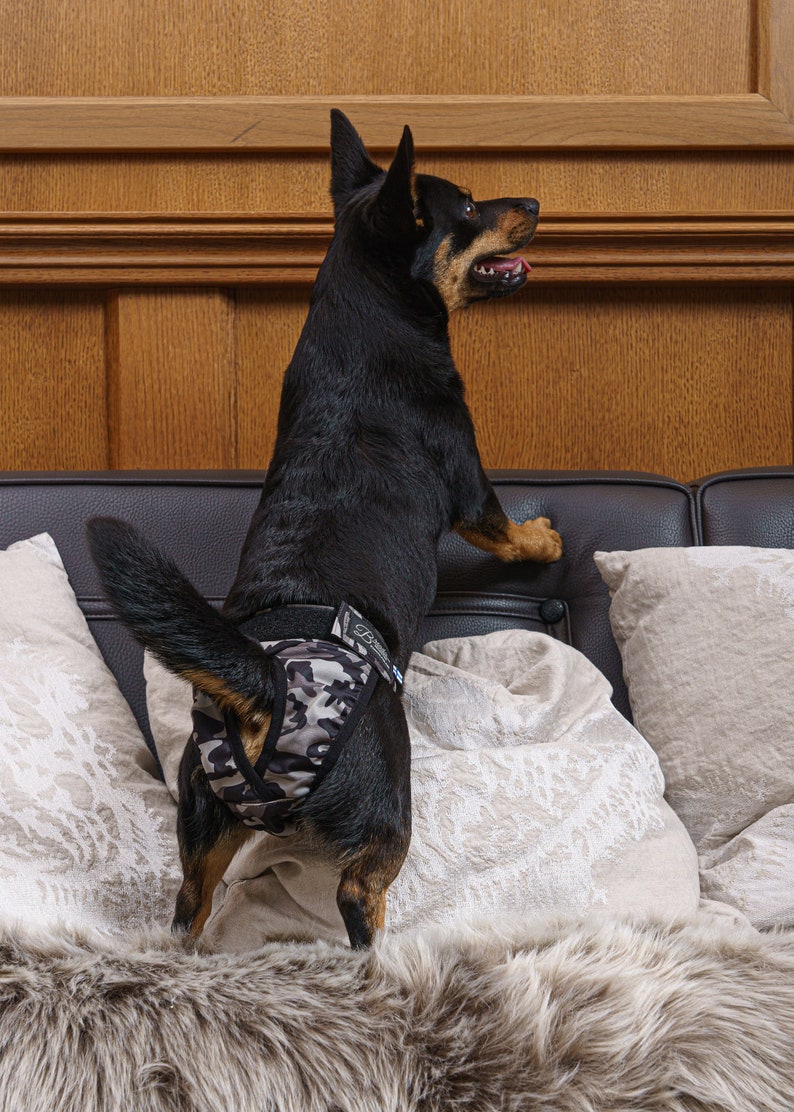 FINNERO BRENDA Dog Hygiene Pants, Washable Diaper, Absorbent Dog Nappy ...