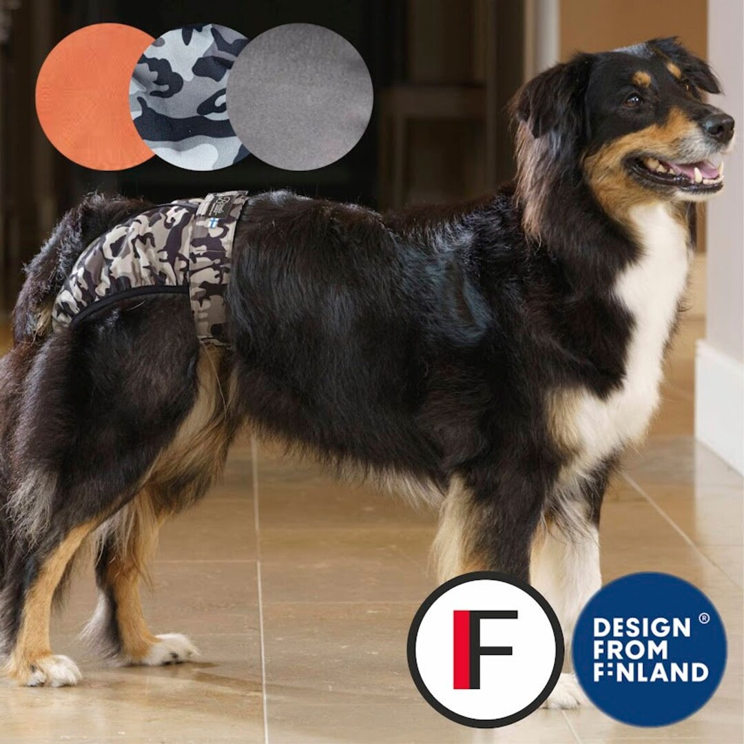 FINNERO BRENDA Dog Hygiene Pants, Washable Diaper, Absorbent Dog Nappy ...