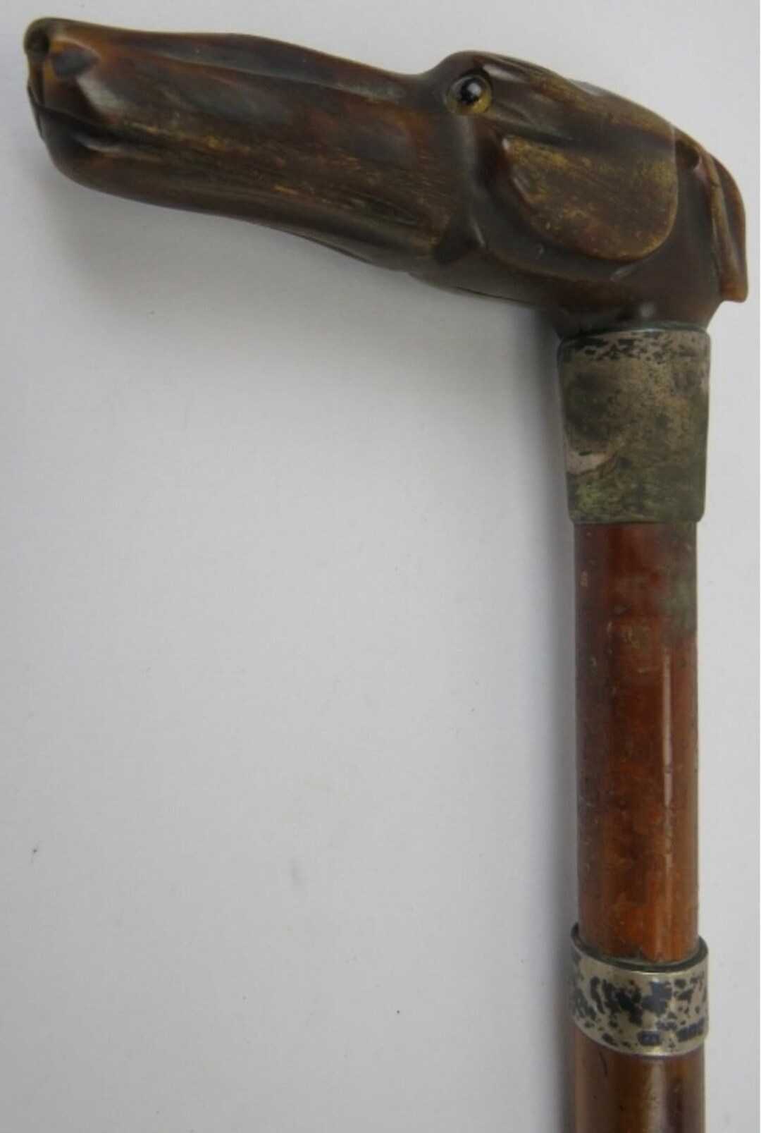 Edwardian Walking Cane With Rhinoceros Horn Head and Sterling - Etsy