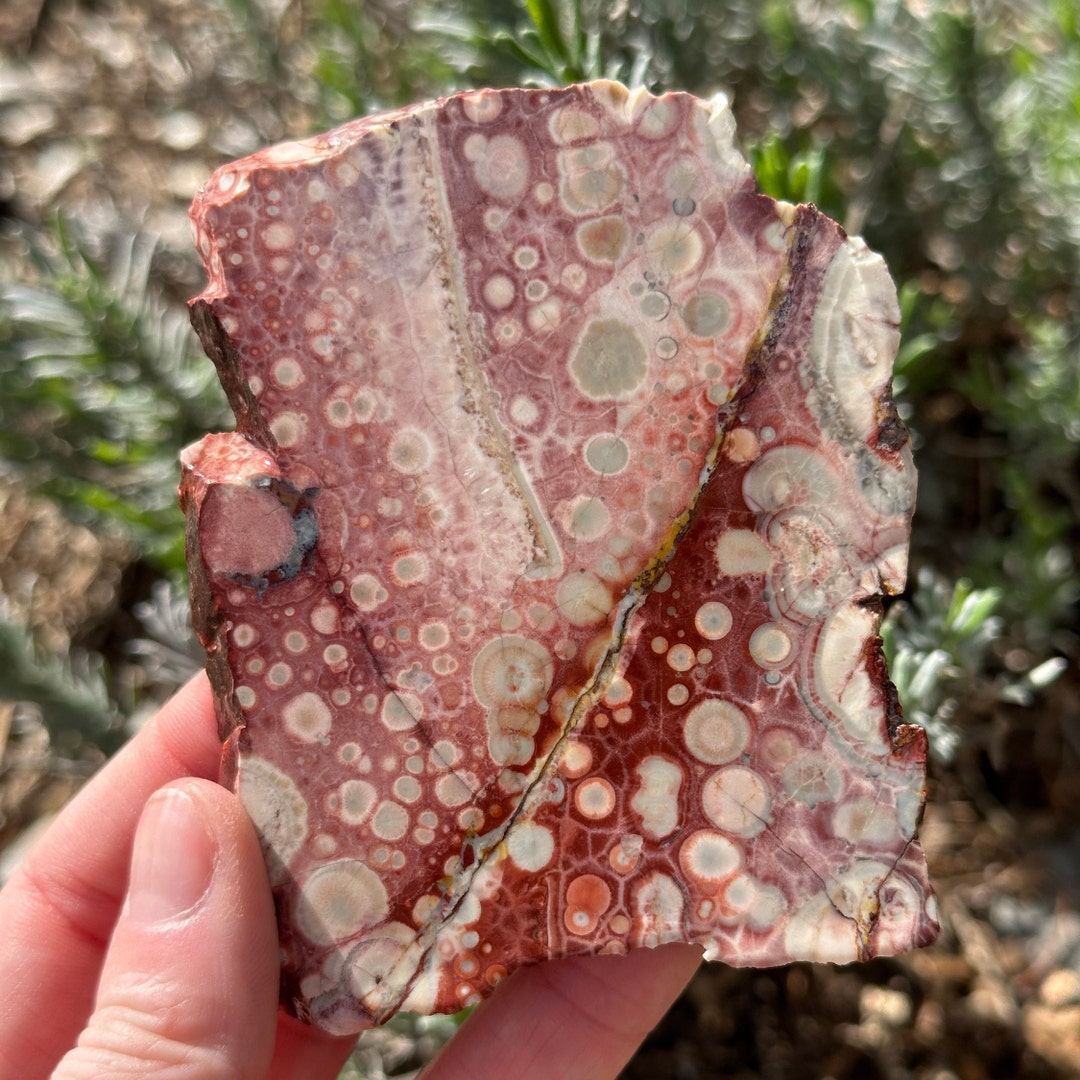 Galaxy Rhyolite Unpolished Slab 78 Grams - Etsy