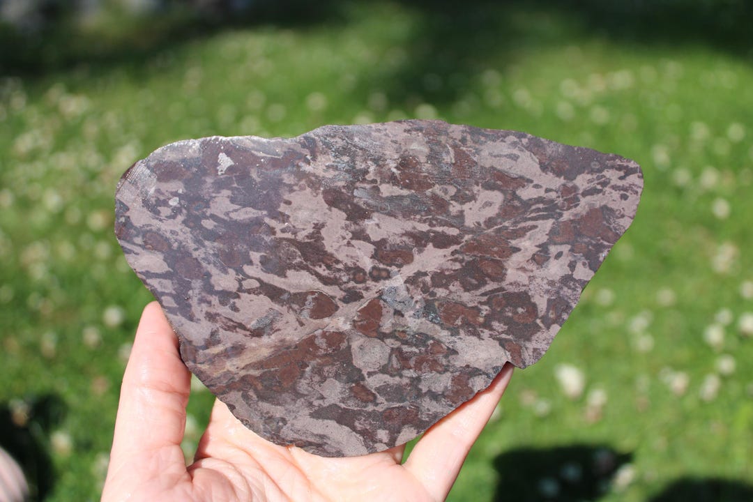 PNW Unpolished Porphyry Slab | 251 Grams - Etsy