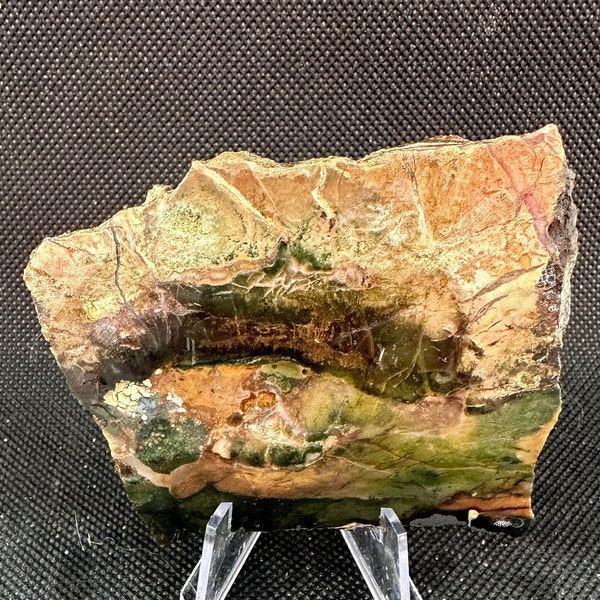 Green Petrified Wood - Etsy