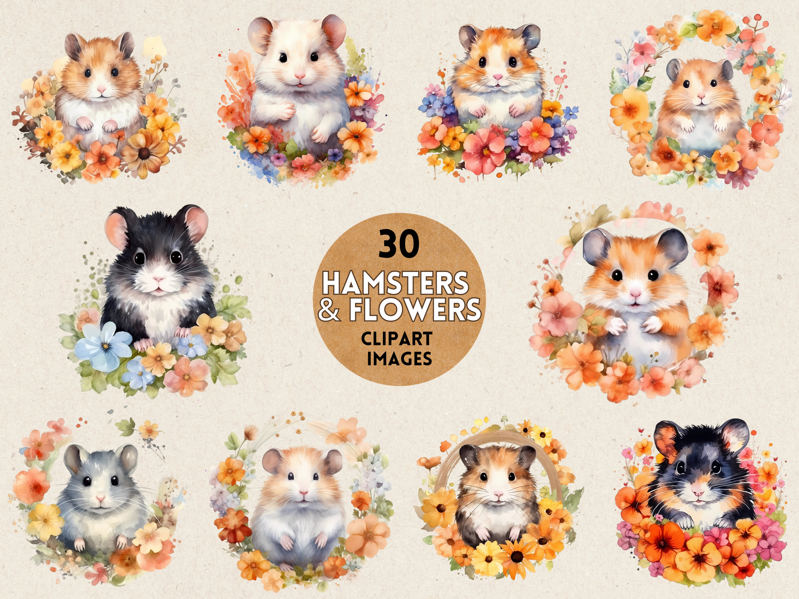 Hamster & Flowers - Cute Hamster Clipart - 30 High Quality Pngs for ...