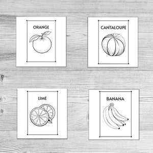 22 Printable Fruits Coloring Pages for Kids and Adults, Fruits Coloring ...