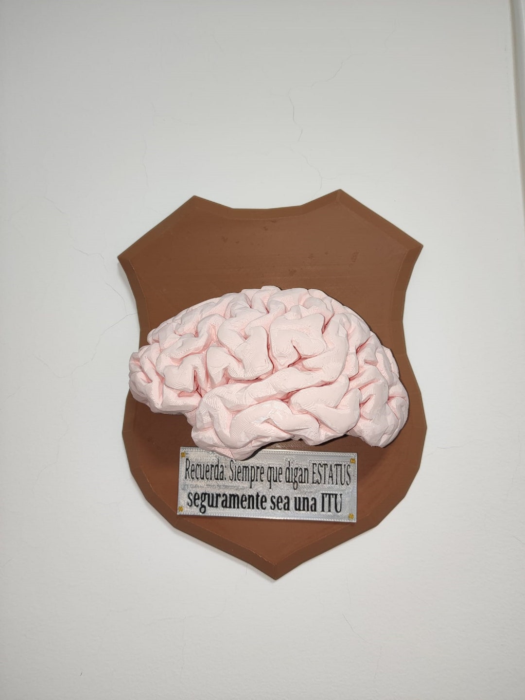 Wall Brain Trophy With Personalized 3D Printed Message - Etsy