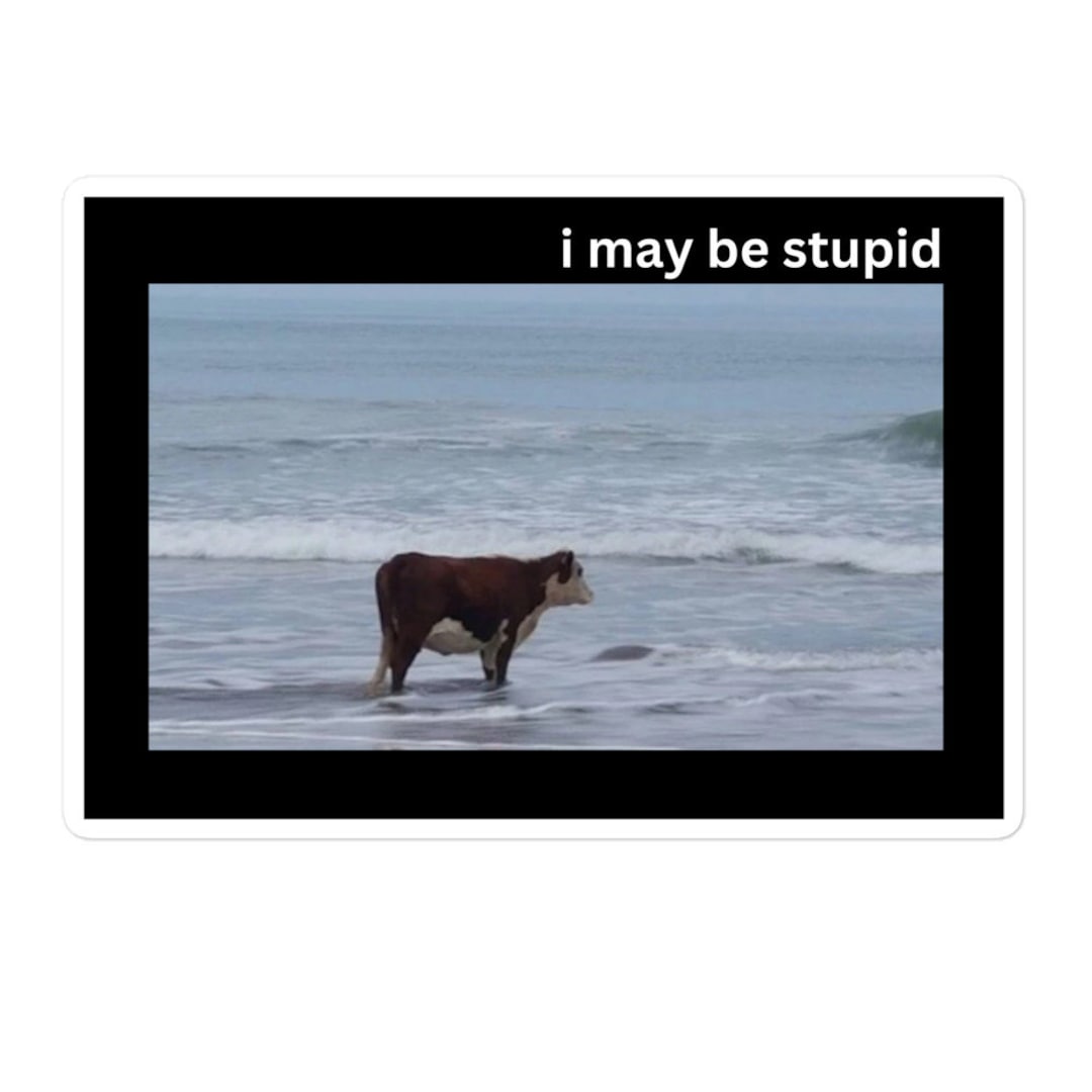 I May Be Stupid Cow in Ocean Laptop, Water Bottle Sticker - Etsy