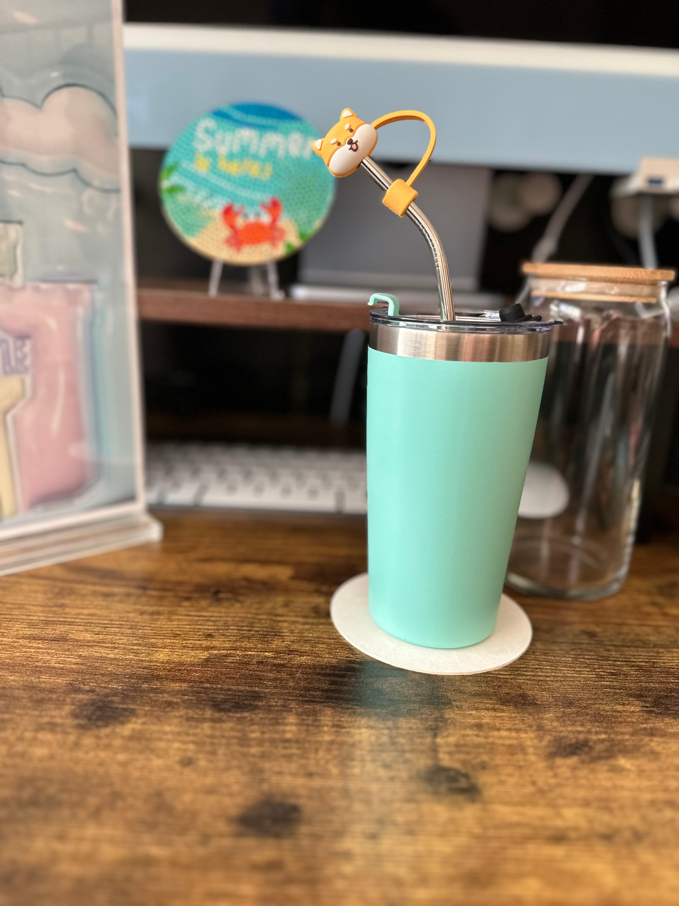 Straw Covers, Kawaii Straw Covers, Straw Toppers, Cover for Metal Glass ...