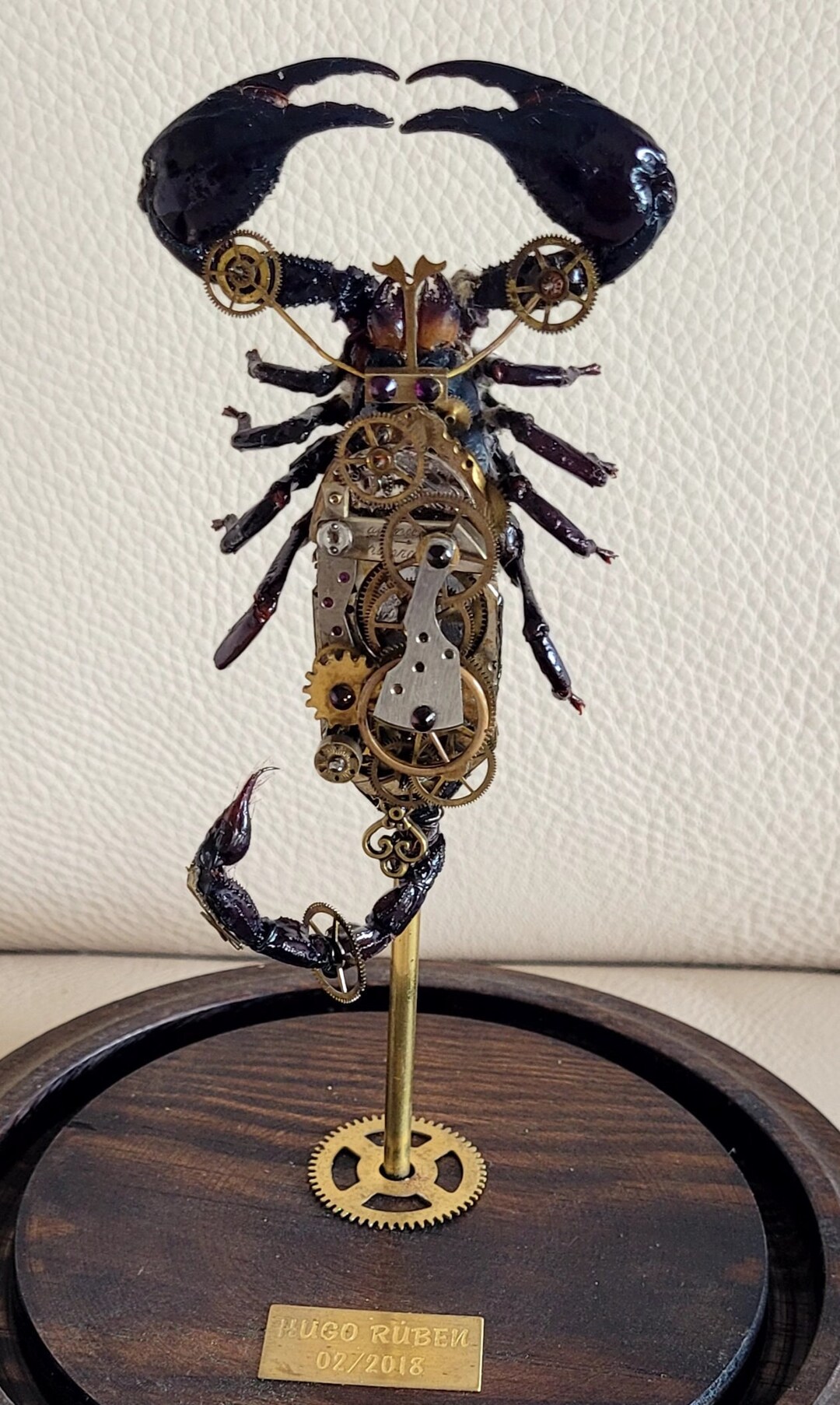 Vintage Glass Dome With Real Scorpion Heterometrus Laoticus and Antique ...