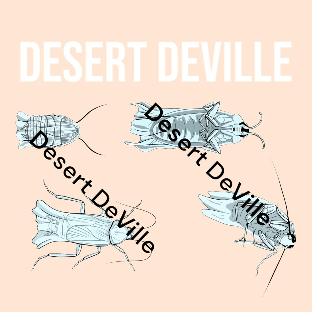 Ghost Cockroach SVG Digital File - Etsy