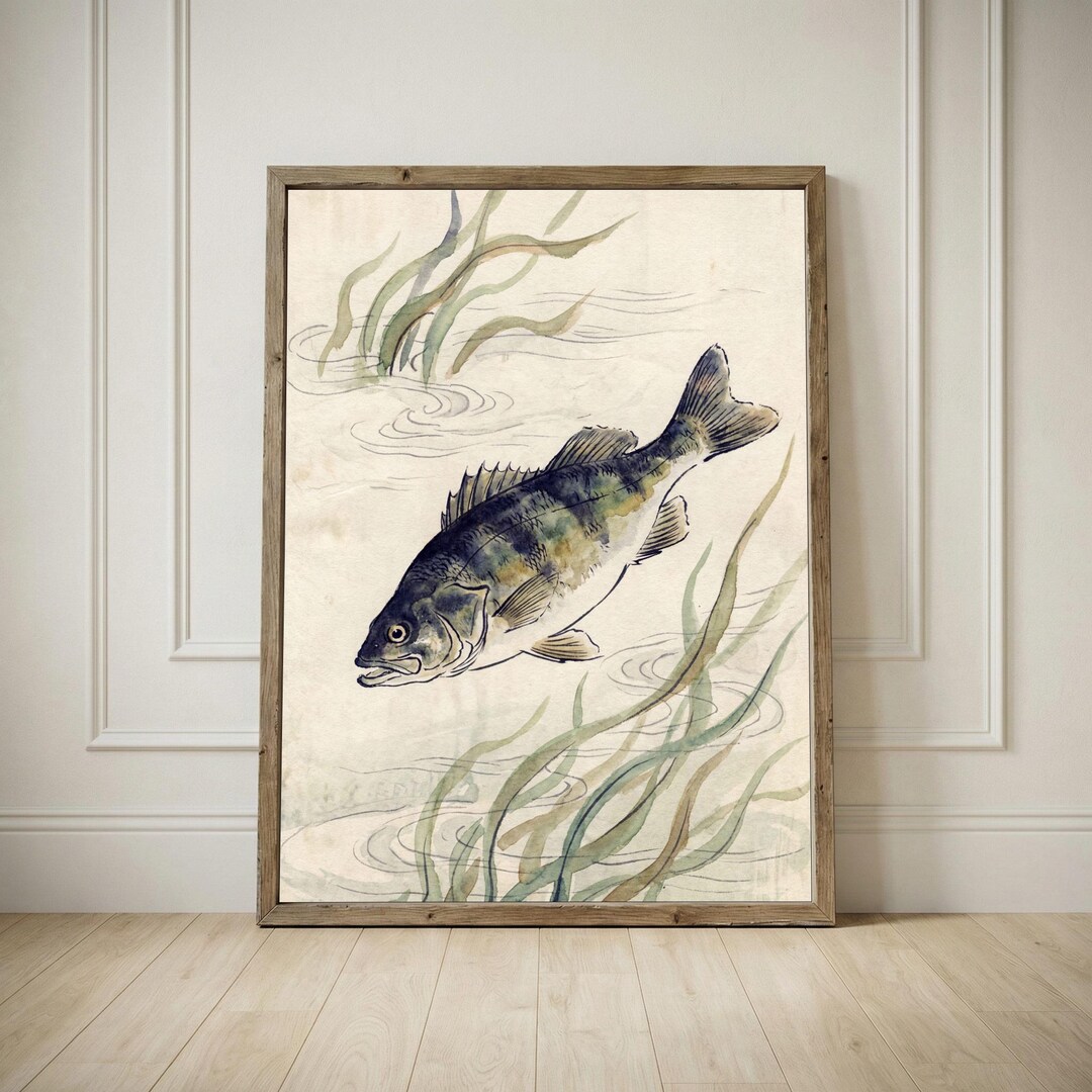 Vintage Style European Perch | Angler Wall Art Vintage Fishing Art ...