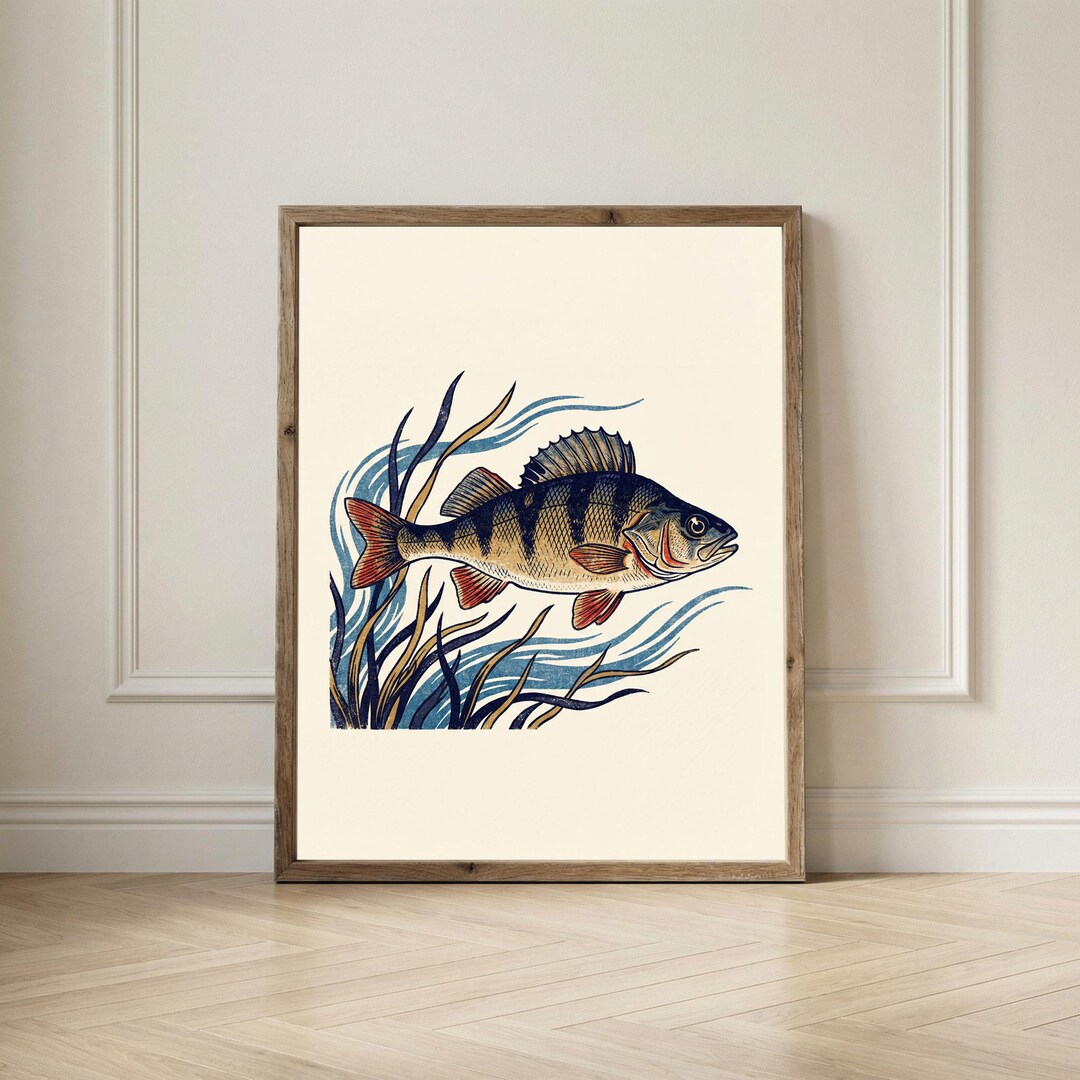 Illustrated European Perch – Vintage Fishing Art | Angler Wall Art ...