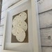 Sand Dollar, 8"x10" Sand Dollars in Shadowbox Frame With Burlap ...
